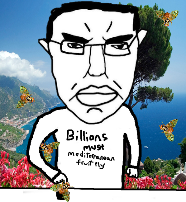 SoyBooru - Post 32522: animal bug chud fly insects mediterrenean millions_must_die subvariant ...